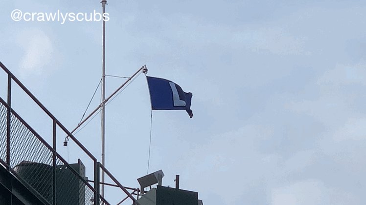 Loss Cubs Flag