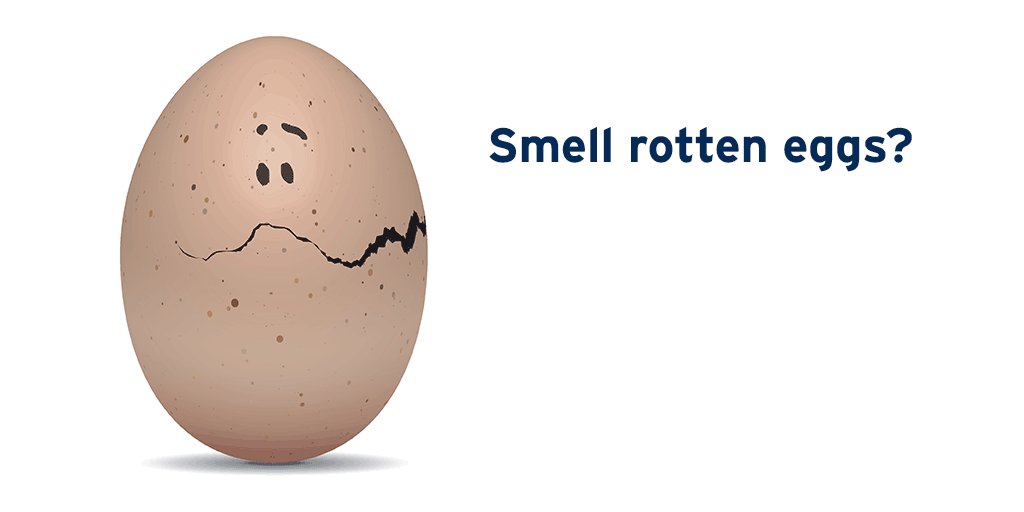 Rotten Eggs Cartoon at Sherry Ramos blog
