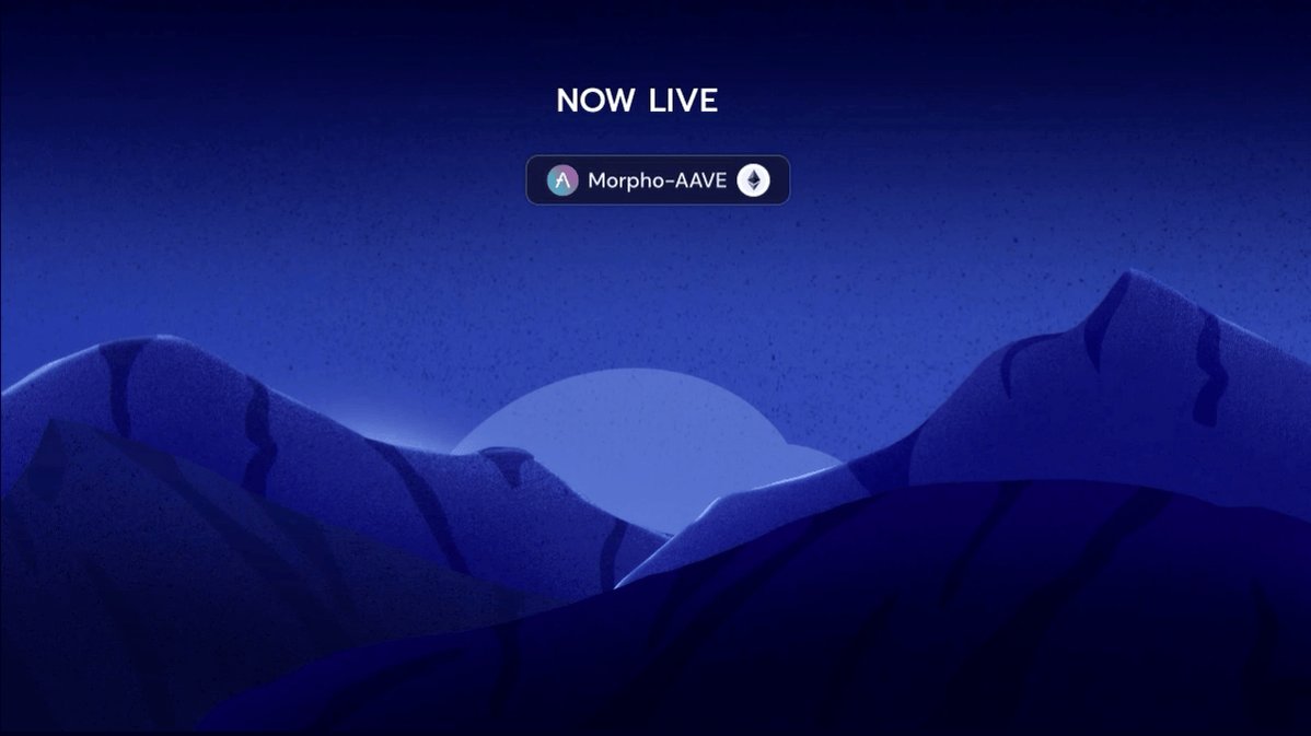 Morpho Labs 🦋 on Twitter: "Here we are! Morpho-AAVE is live, you can now improve your AAVE APY ...