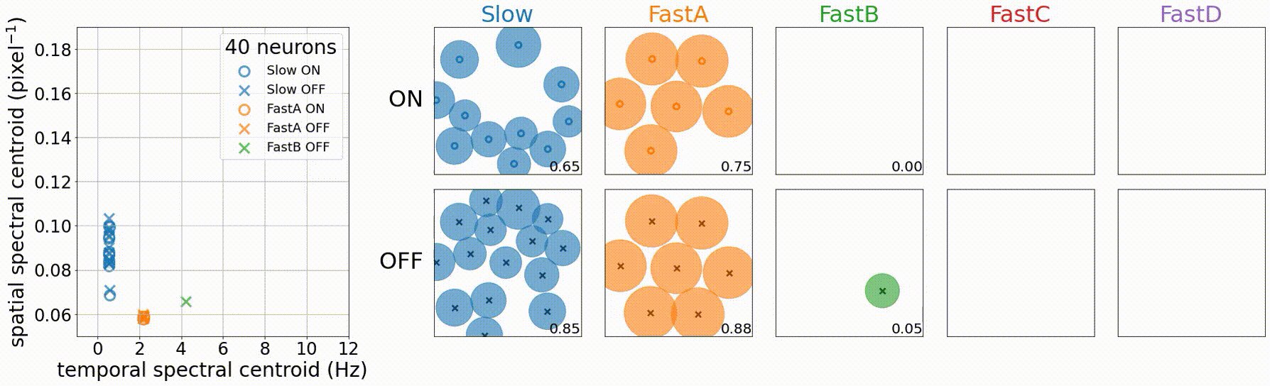 Nayoung Jun on Twitter: "Why do we need SO many cell types in the retina? Efficient coding ...