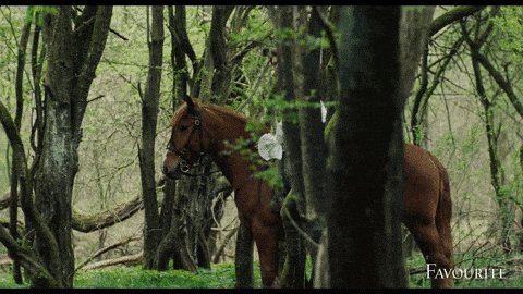 Austin Wilde on Twitter: "@DancesWithLeos You riding me in the forest during the sequel https ...