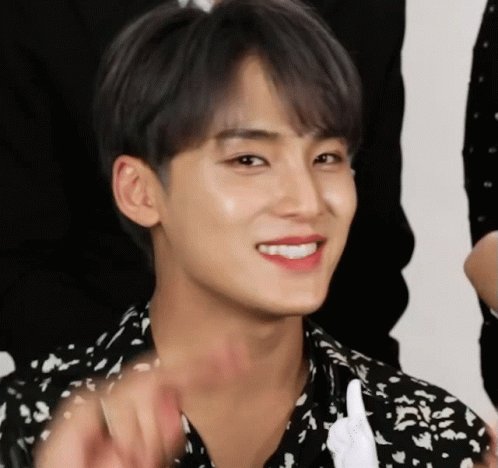 daily mingyu 🐶 on Twitter: "the difference between mingyu and dino😭 https://t.co/NRET8ieLA6 ...