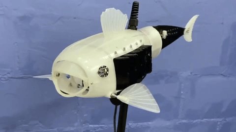 Arduino on Twitter: "Robo-fish filters microplastics like a whale with krill: http://blog ...