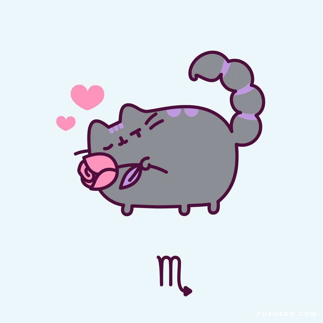 Pusheen the cat on Twitter: Pusheen the cat on Twitter: