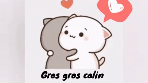 Xa on Twitter: "@Maliki_officiel @Kekeflipnote https://t.co/QLwLot1ftq" / Twitter