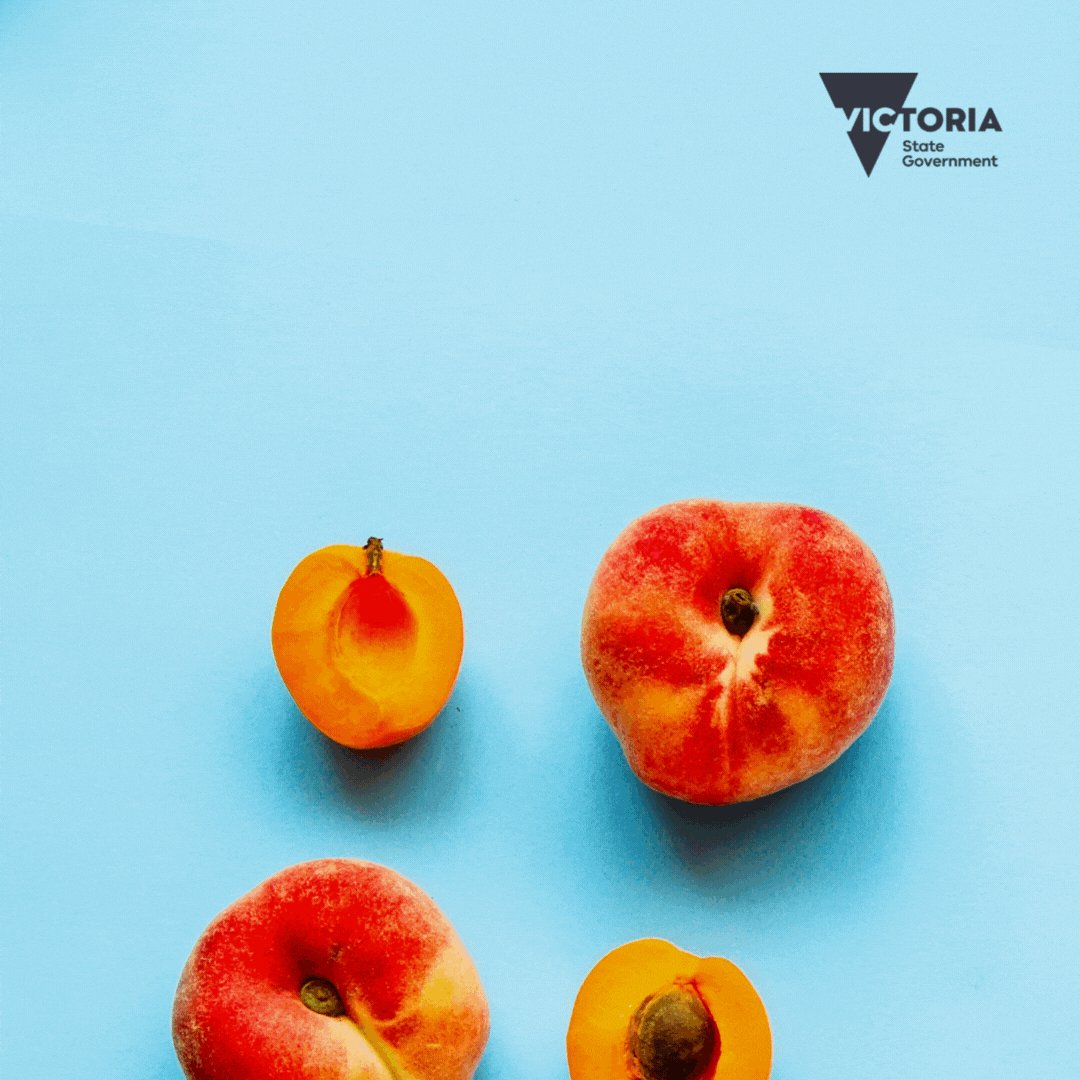 Victorian Department of Health on Twitter: Victorian Department of Health on Twitter: