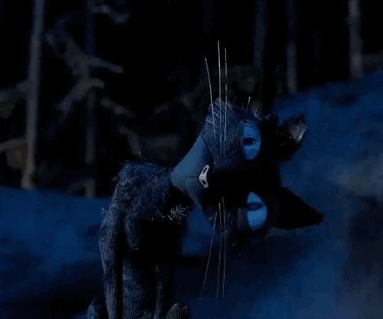 Coraline Cat Gif