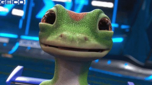 Geico Gecko Gif