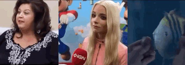 the introverted hater on Twitter: the introverted hater on Twitter:
