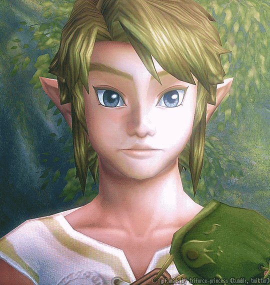 Princess Zelda Twilight Princess Face