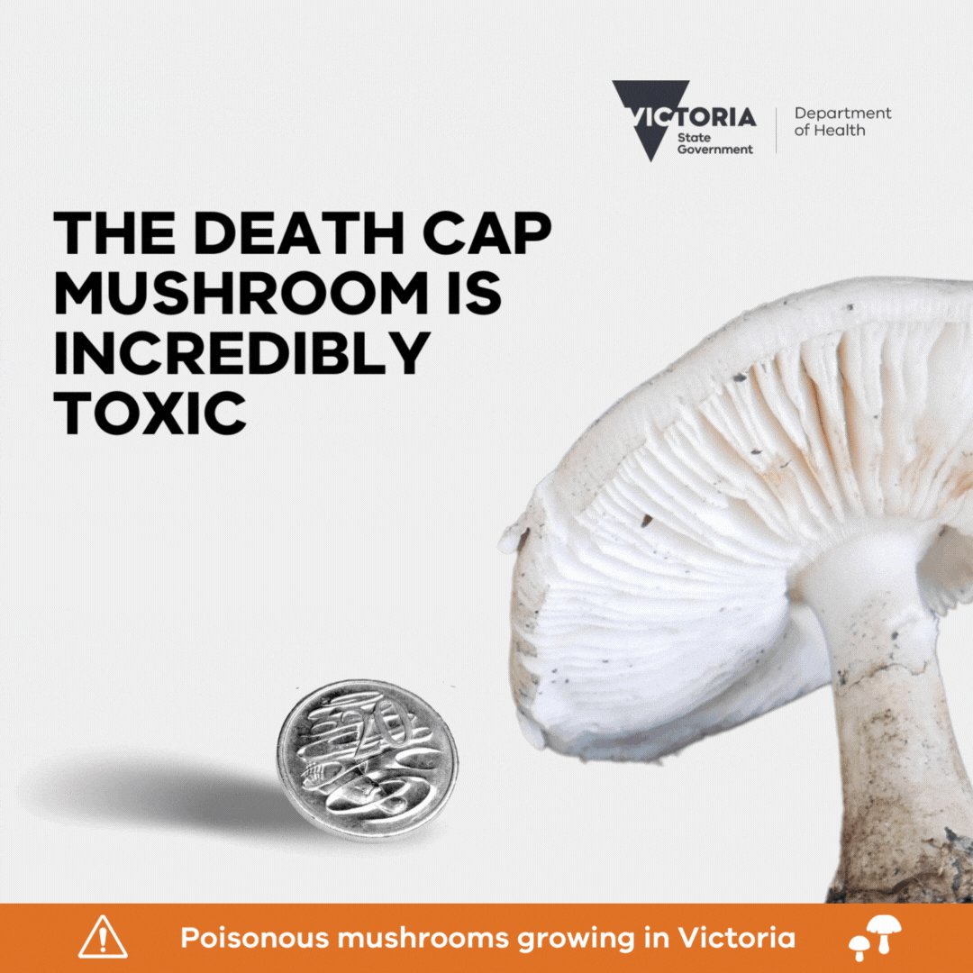 Victorian Department of Health on Twitter: Victorian Department of Health on Twitter: