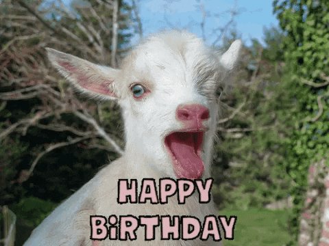 Goat Birthday Meme